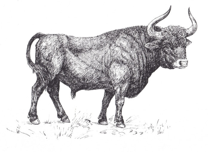 Urrind – Herzogtum direkt