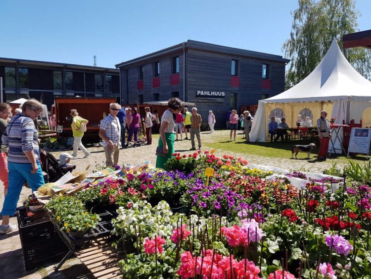 Biosphäre-Schaalsee-Markt im Juli – Herzogtum direkt